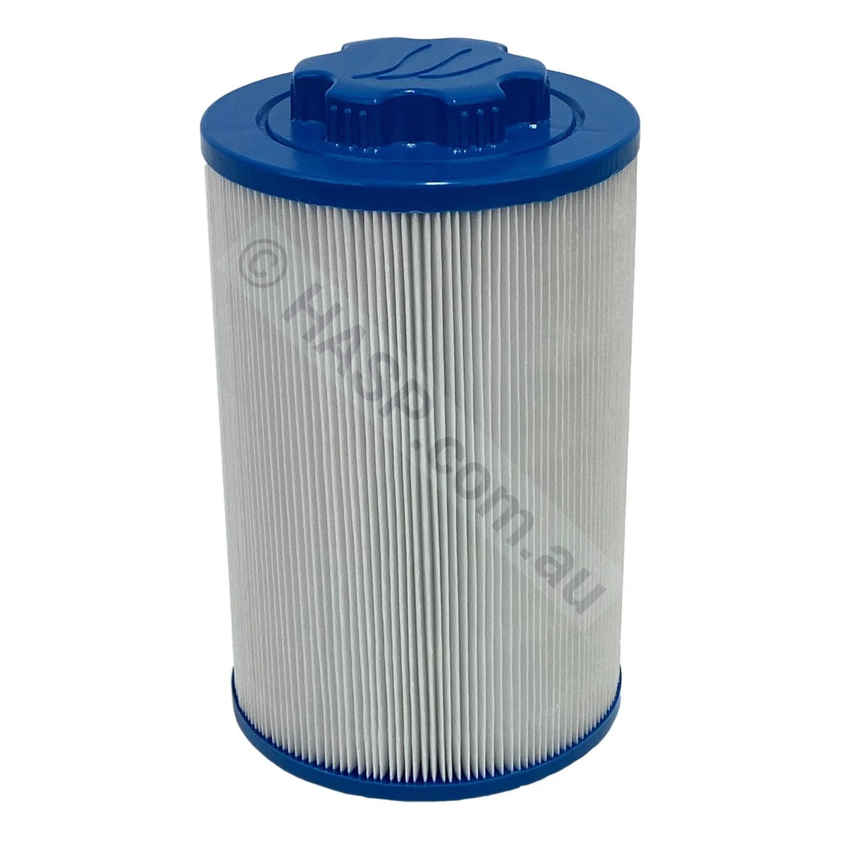 oasis filter spares